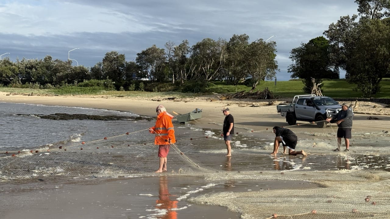 Ballina’s Ancient Mullet Tradition Survives – Despite Filthy River ...