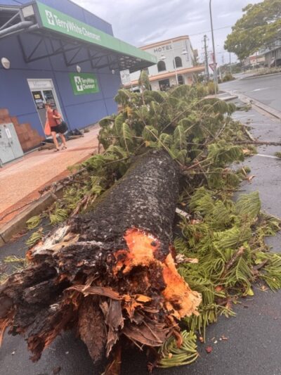 Northern Rivers disaster report reveals $4B economic hit