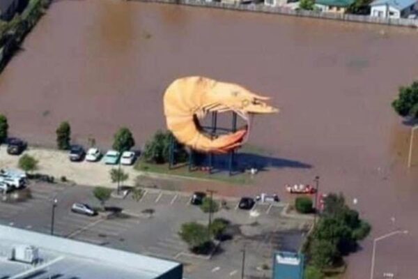 Northern Rivers disaster report reveals $4B economic hit